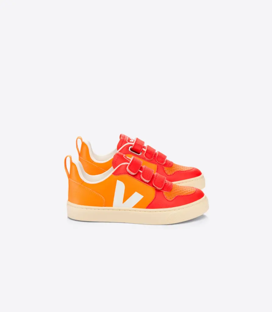 See The Animals Observatory X VEJA Collaboration - Junior Magazine